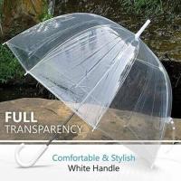 China Metal Ribs Transparent Rain Umbrella with Apollo Design and Customized Logo Printing for sale