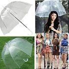 China Metal Ribs Transparent Rain Umbrella with Apollo Design and Customized Logo Printing for sale