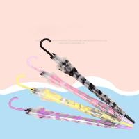 China Creative Transparent Umbrella Plastic Handle Straight Pole Automatic Advertising Gift for sale