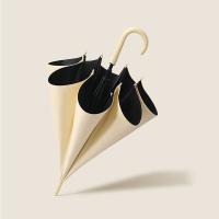 China Simple and Practical Customized 190T Pongee Fabric Umbrella with Long Handle Design for sale