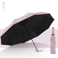 China Business Men's Large 10 Bone Double Umbrella with Millet Handle and 190T Nylon Fabric for sale
