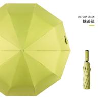 China Business Men's Large 10 Bone Double Umbrella with Millet Handle and 190T Nylon Fabric for sale