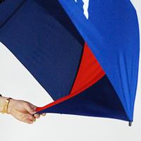 China 30 Inch Large Windproof Custom Golf Umbrella with Branded Logo Prints and Double Layers for sale