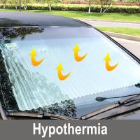 China Open Style Car Sun Light Protection Board for Heat Insulation and Sun Protection for sale