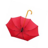 China Auto Open Long Fiberglass Frame Stick Umbrella with Wooden Handle and Custom Design for sale