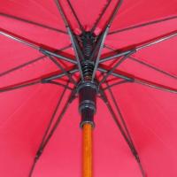 China Auto Open Long Fiberglass Frame Stick Umbrella with Wooden Handle and Custom Design for sale