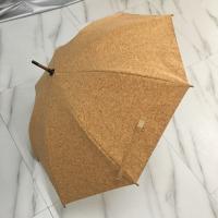 China Agile Supply Chain Advertising Umbrella with Fiberglass Ribs and 105cm Open Diameter for sale
