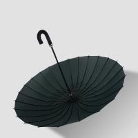 China Long Handle Umbrella Fiberglass Frame Rain Umbrella with Creative Color Changing Design for sale
