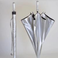 China Plastic Coating Handle Long Double Titanium Silver Automatic Golf Umbrella for Outdoor for sale