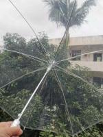 China Plastic Umbrella Product Auto Open Parapluie Custom Straight POE Clear Umbrella for sale