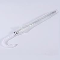 China Party Occasion Semi-automatic Plastic J Handle Umbrella with Transparent Clear Canopy for sale