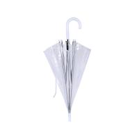 China Party Occasion Semi-automatic Plastic J Handle Umbrella with Transparent Clear Canopy for sale