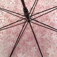 China Plastic J Handle Customized Professional POE Clear Compact Sakura Umbrella for Travel for sale
