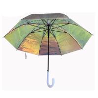 China POE Holographic Magic Laser Auto Umbrella American Style Design with Black Metal Frame for sale