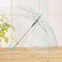 China Promotion Advertising PVC Umbrella with Customized Logo and Black Metal Frame for sale