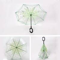 China 23inch 8K Promotion Eco friendly Straight POE Sakura Transparent Reverse Plastic Umbrella for sale