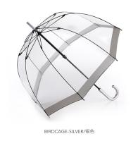 China Stylish Dome Shape Clear PVC Plastic Rain Umbrella for Adults Apollo Minimalist Design for sale