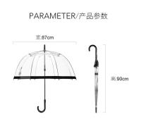 China Stylish Dome Shape Clear PVC Plastic Rain Umbrella for Adults Apollo Minimalist Design for sale