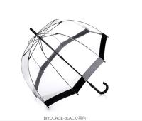 China Stylish Dome Shape Clear PVC Plastic Rain Umbrella for Adults Apollo Minimalist Design for sale