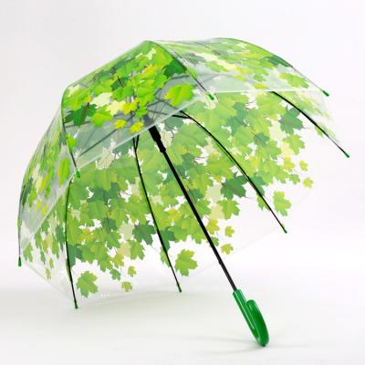 China Long Handle Straight Umbrella with Maple Leaf Apollo Transparent Material Design for sale