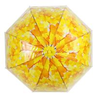 China Long Handle Straight Umbrella with Maple Leaf Apollo Transparent Material Design for sale
