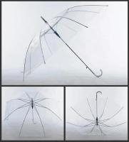 China Transparent Fabric Auto Open Customized Straight Umbrella for Promotion Advertising for sale