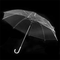 China Transparent Fabric Auto Open Customized Straight Umbrella for Promotion Advertising for sale