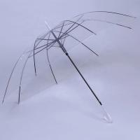 China Transparent Fabric Auto Open Customized Straight Umbrella for Promotion Advertising for sale