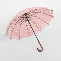 China Long Handle Printed Umbrella with Solid Wood Curved Handle and 190T-50D Pongee Fabric for sale