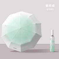 China 210T Nylon Fabric 10-bone automatic umbrella perfect for sunblock and UV resistance for sale
