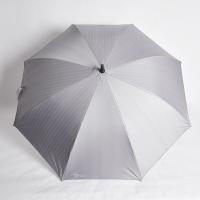China Titanium Silver Sunshade LED Business Golf Automatic Umbrella 27