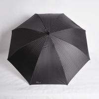 China Titanium Silver Sunshade LED Business Golf Automatic Umbrella 27