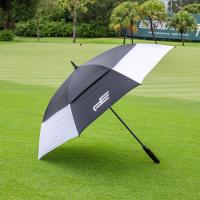 China Super Light Automatic Double Layer Wind Protection Golf Umbrella 30 Inch and EVA Handle for sale