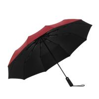 China 190T Pongee Fabric Clear Umbrella with 10 Bone Automatic Folding and Vinyl Sunshade for sale