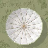 China Sunscreen Waterproof Travel Umbrella with Automatic Open 8K Light Ribs Flower Painting for sale