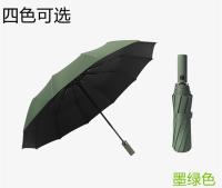 China Personalized Logo Printed Automatic Umbrella All in 1 Windproof Umbrella for sale