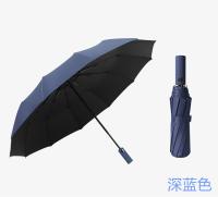 China Personalized Logo Printed Automatic Umbrella All in 1 Windproof Umbrella for sale