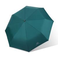 China Custom Logo Print Paraguas Umbrella for Adults' UV Protection in Outdoor Activities for sale
