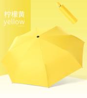 China Colorful Design Pongee Fully Automatic Open and Close umbrella Perfect for Your Market for sale