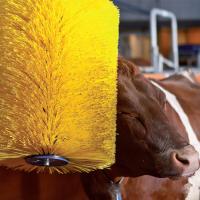 China TUV Certified Dairy Farm Cattle Cow Scratching Brush Roller - Customizable Nylon Bristles for Improved Milk Production for sale