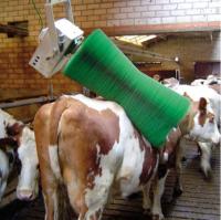 China TUV Certified Dairy Farm Cattle Cow Scratching Brush Roller - Customizable Nylon Bristles for Improved Milk Production for sale