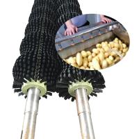 China Custom Metal Industrial Rotary Brushes for Potato Peeling and Vegetable Washing - Multiple Wire Diameters and Sizes Available for sale