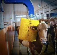 China Customized Cow Scratching Brush 600mm-1000mm Length with PP/Nylon Bristles for Dairy Farm Animal Care for sale