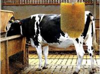 China Electric Cow Grooming Brush with 60KG Capacity - Automatic Body Scraper for Livestock Health and Milk Production for sale