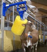China Electric Cow Grooming Brush with 60KG Capacity - Automatic Body Scraper for Livestock Health and Milk Production for sale