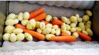 China Industrial Fruit Vegetable Roller Brush Conveyor Belt Cleaners - Custom PP/Nylon/Steel Wire Options 50-200mm Diameter for sale
