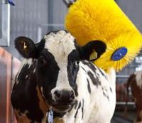 China Concave Farm Cow Scratching Brush 600-1000mm Length with 400-500mm Diameter for Cattle Massage and Hygiene for sale