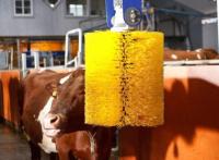 China PP Itching Livestock Cow Scratching Brush 50KG with 600-1000mm Length Options for Enhanced Milk Production for sale