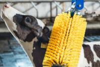 China Automatic Electric Cattle Grooming Brush with 600-1000mm Length Options for Cow Comfort and Milk Production for sale