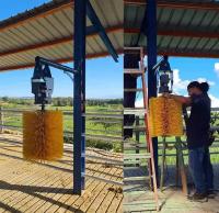 China Automatic Electric Cattle Grooming Brush with 600-1000mm Length Options for Cow Comfort and Milk Production for sale